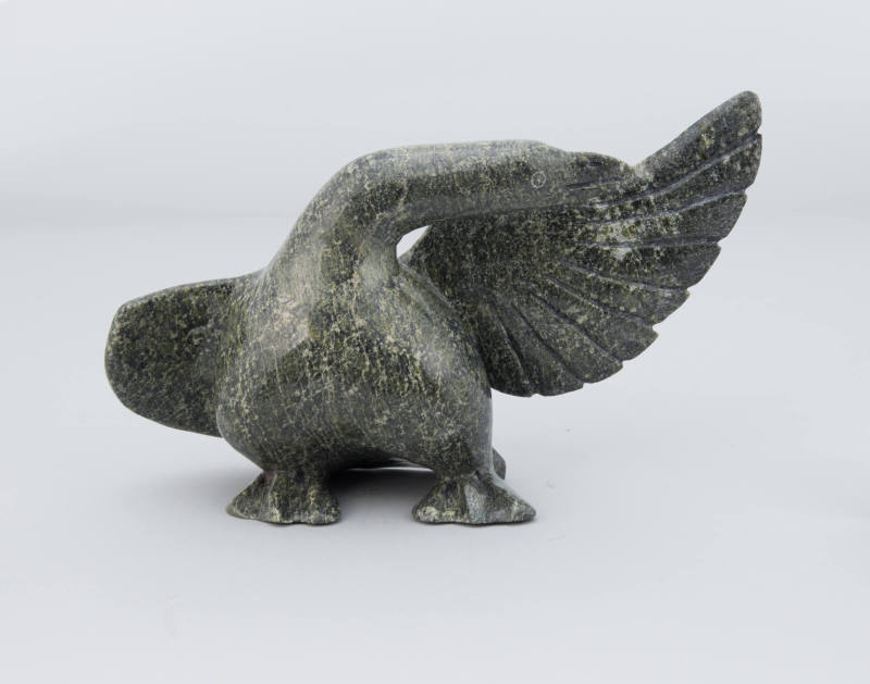 Preening Bird – Works – eMuseum